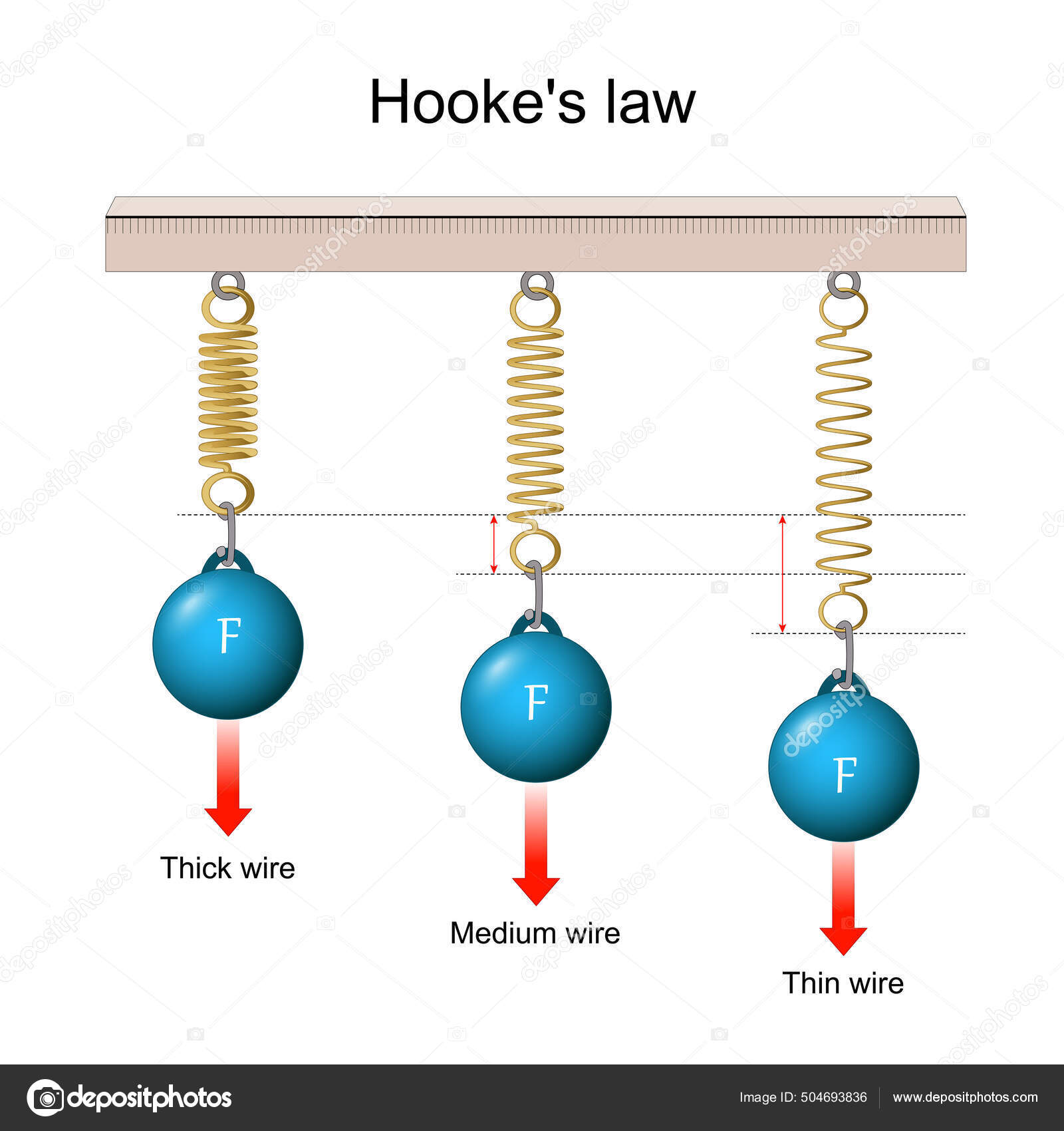 Hooke's Law Force Proportional Extension Thin Wire Thick Wire Vector Stock Vector by ©edesignua ...