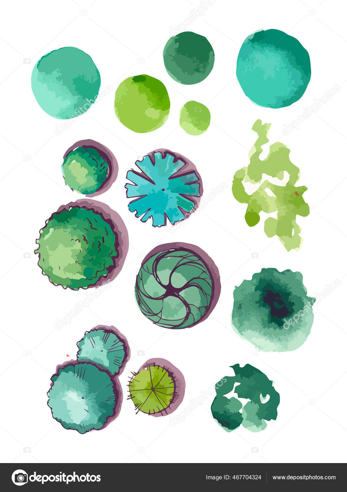 Tree Top View Sketch