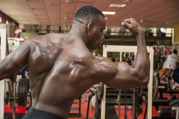 Attractive hunky black male bodybuilder in gym - Stock Image - Everypixel
