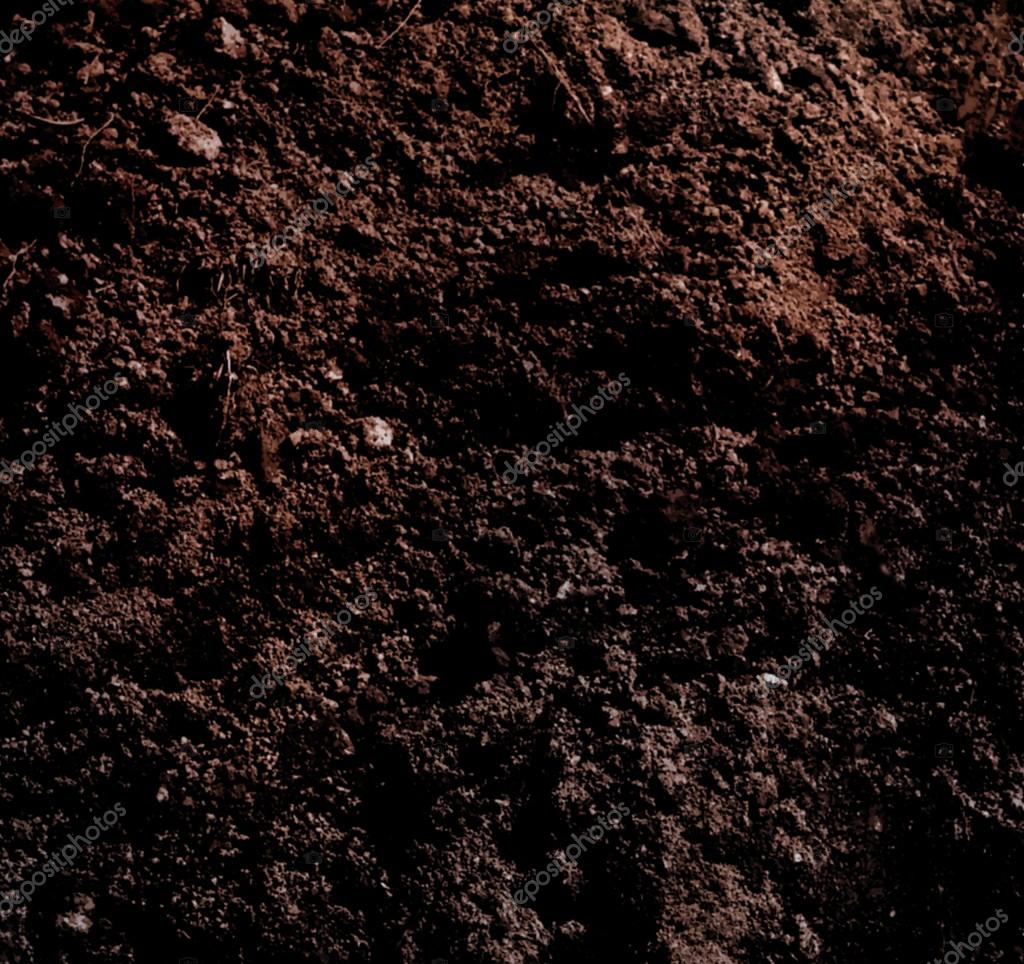 Textura tierra humeda | Textura húmeda tierra marrón. Tierra suelta ...