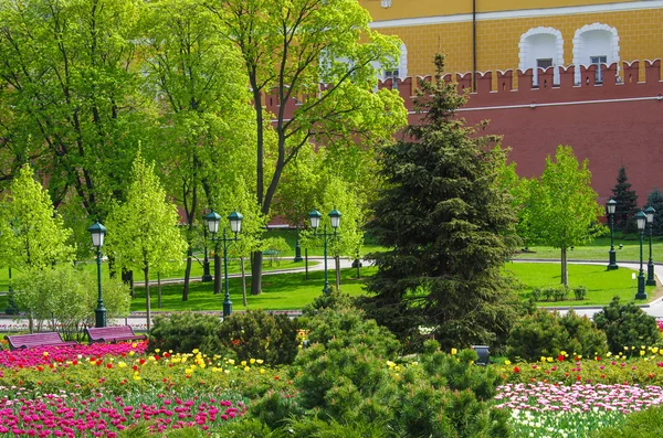 Alexander Garden and Moscow Kremlin in spring time – Stock Editorial ...