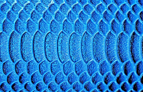 Blue snake skin background Stock Photo by ©domnitsky.yar 87829610