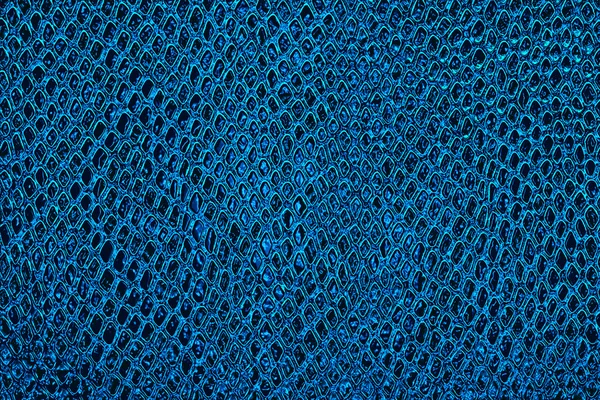 Blue snake skin background - Stock Image - Everypixel