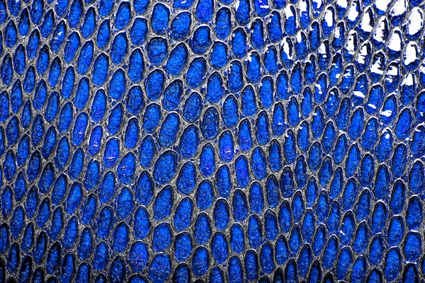 Blue snake skin background Stock Photo by ©domnitsky.yar 87834098