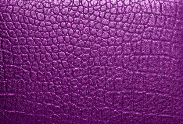 Purple crocodile skin Stock Photos, Royalty Free Purple crocodile skin ...