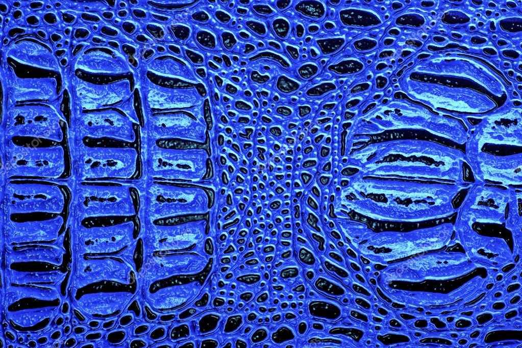 Blue crocodile leather texture Stock Photo by ©domnitsky.yar 87746130