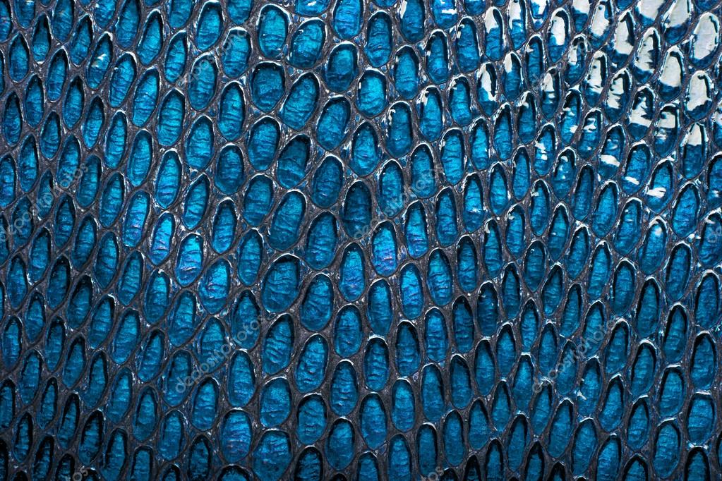 Blue snake skin background Stock Photo by ©domnitsky.yar 87829610