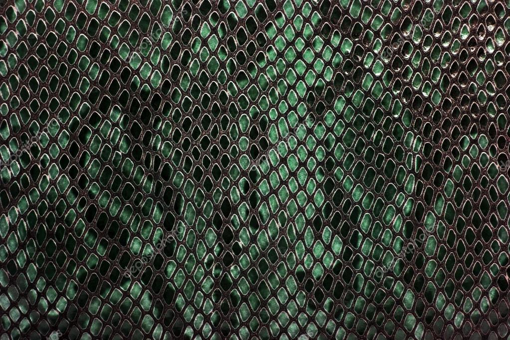 Wallpaper Tile Motif With Snake Skin Pattern Dark Green | atelier-yuwa ... Wallpaper Tile Motif With Snake Skin Pattern Dark Green | atelier-yuwa ...