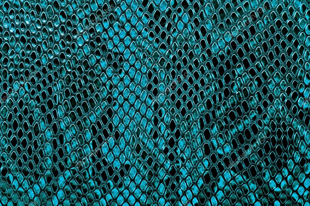 Blue snake skin background Stock Photo by ©domnitsky.yar 87834098