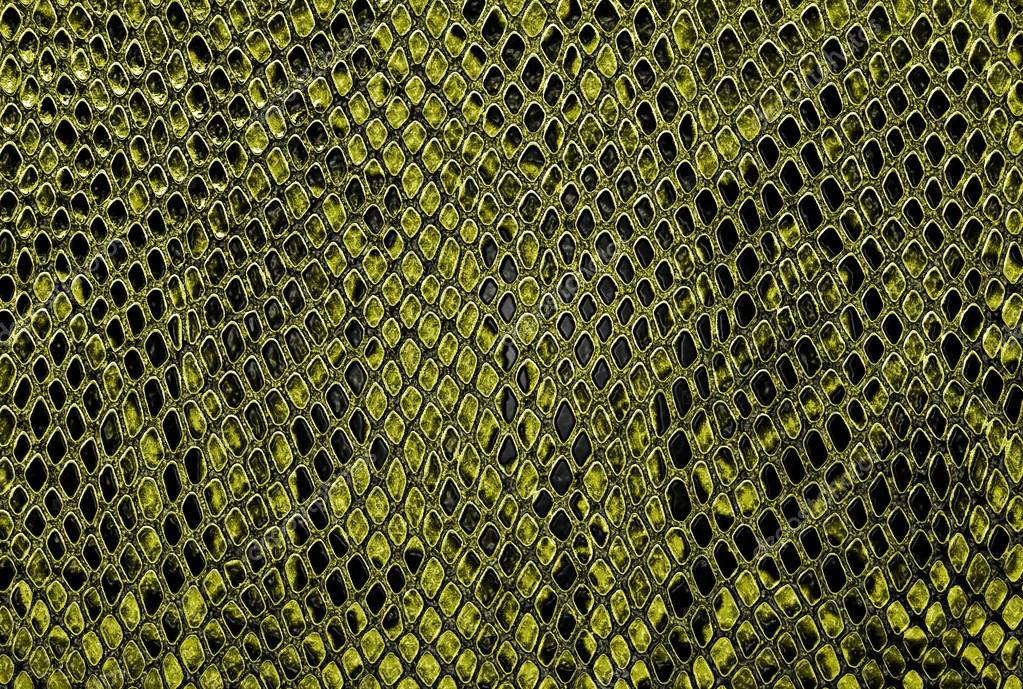 Green snake skin background Stock Photo by ©domnitsky.yar 87838348