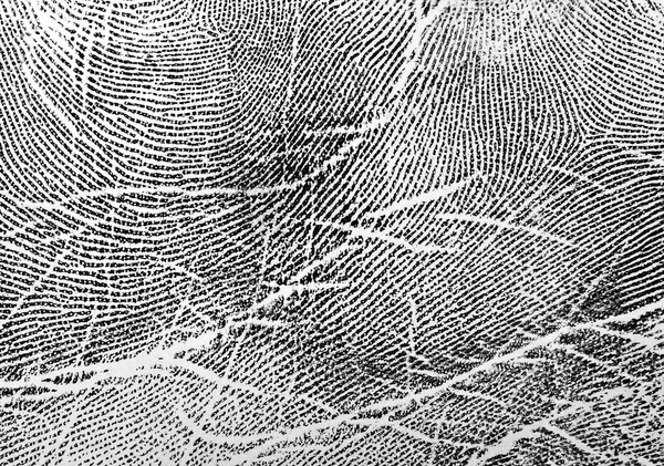 Fingerprint on white paper Stock Photo by ©domnitsky.yar 92891950