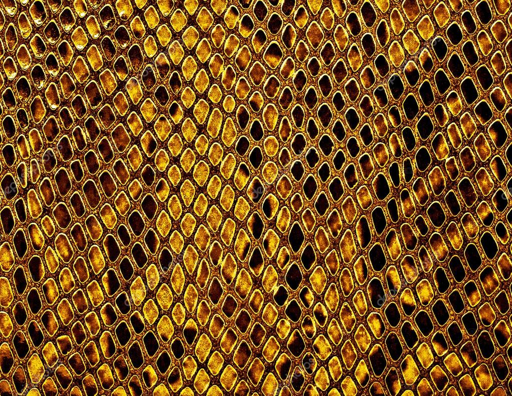 Yellow Snake Wallpaper