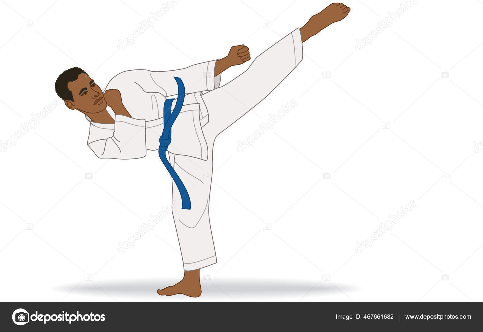 Karate Male Side Kick Stance Isolated White Background Stock Vector ...