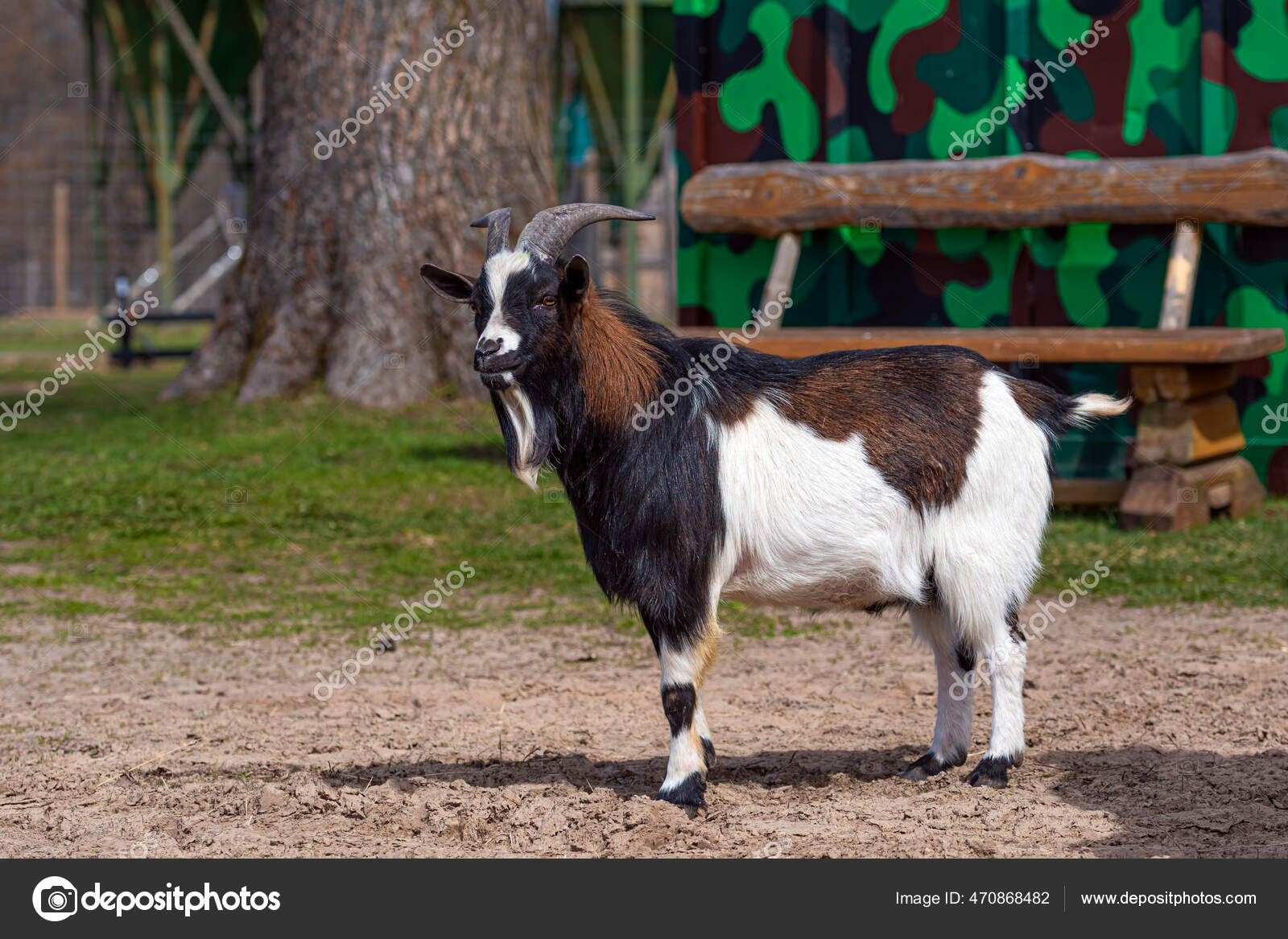 Google Spotted Goat