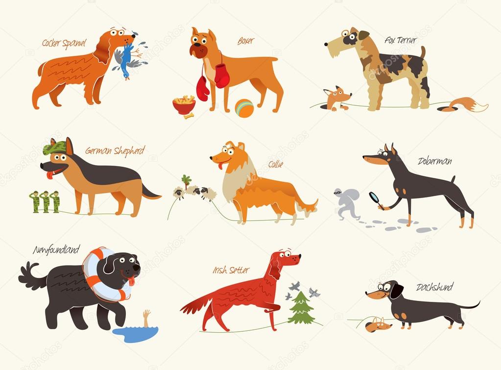 Pictures : working dogs | Dog breeds. Working dogs — Stock Vector ...