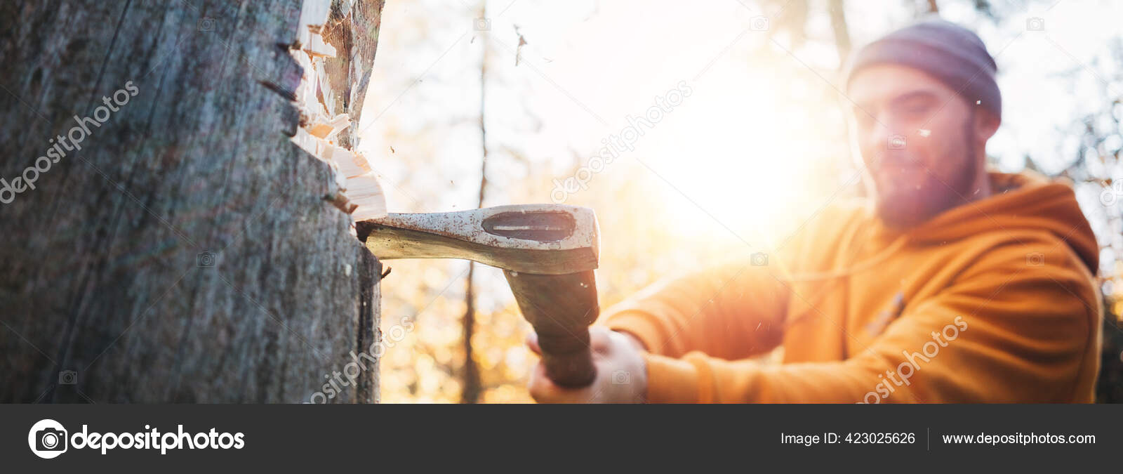 Strong Brutal Lumberjack His Hands Chops Tree Forest Wood Chips — Stock ...