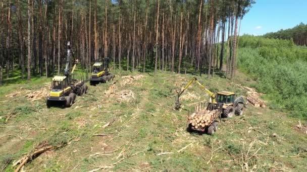 94 Forestry machines Videos, Royalty-free Stock Forestry machines ...