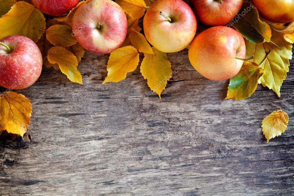 Autumn Apples Backdrop — Stock Photo © mpessaris #83256012
