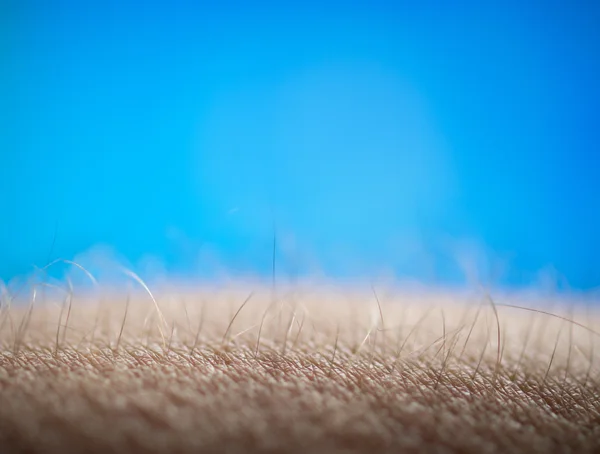 Goose bumps Stock Photos, Royalty Free Goose bumps Images | Depositphotos