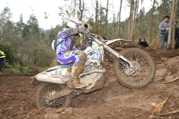 Harly davidson Stock Photos, Royalty Free Harly davidson Images ...