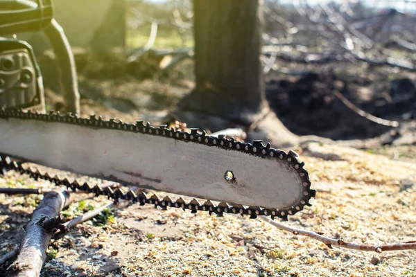 The chainsaw lies near a felled tree. Close-up of the tool. The concept ...