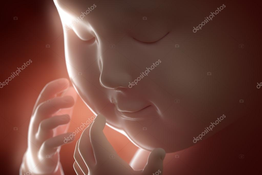 Concepto de embarazo fetal 2023