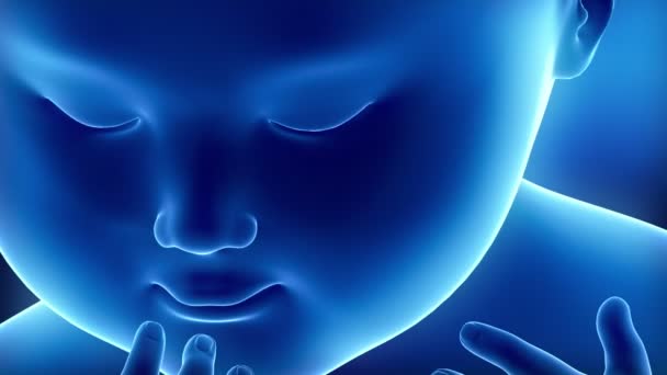 2,985 Fötus Videos, Royalty-free Stock Fötus Footage | Depositphotos