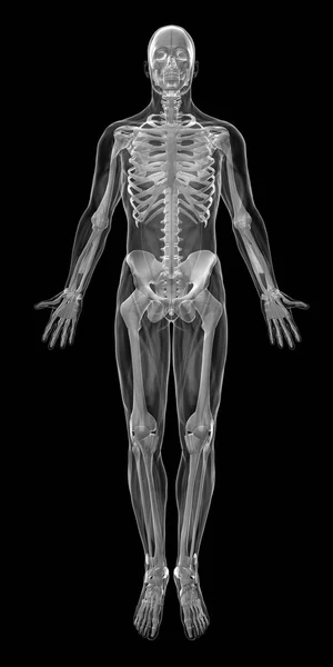 Organs Fotografii din stoc | Organs imagini gratuite și fără drepturi ...