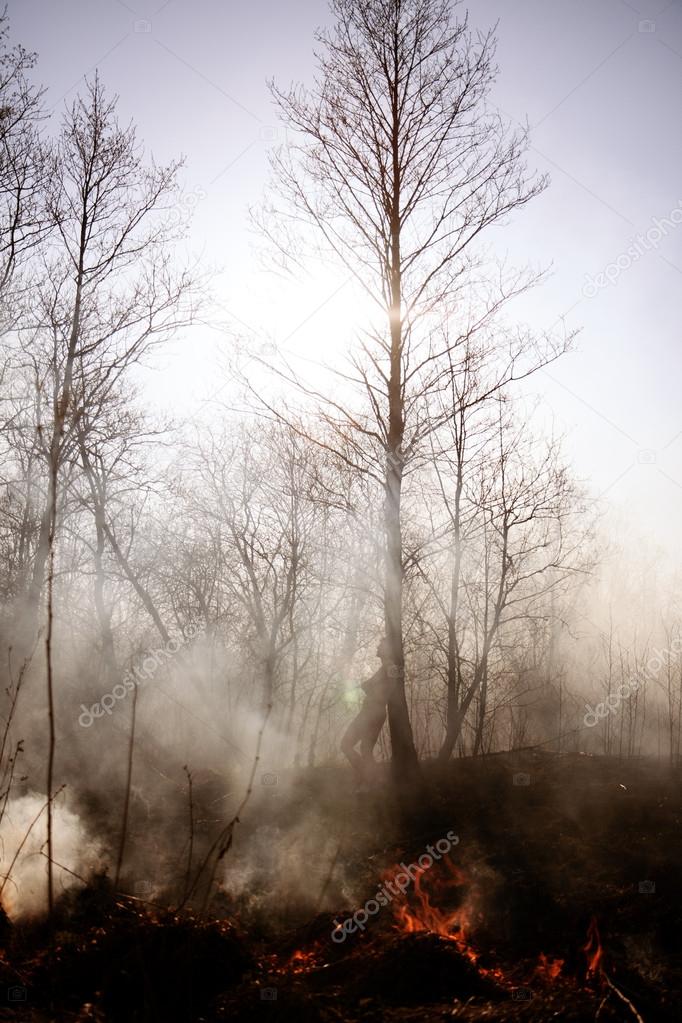 Wildfire. Fire. Global warming, environmental catastrophe. Conce ...