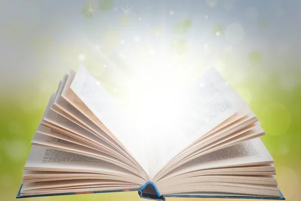 Education Icon coming out of Open Book — Stock Vector © stockshoppe ...