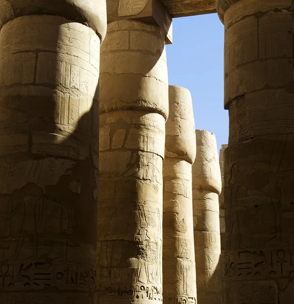 Grand columns in Karnak temple in Luxor,Egypt - Stock Image - Everypixel