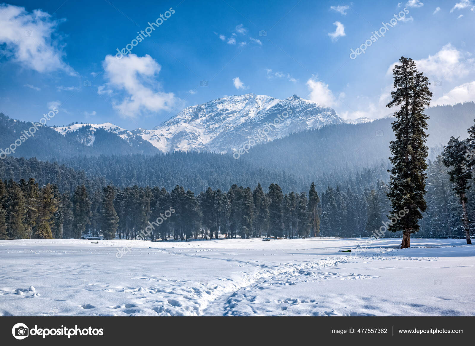 Beautiful Winter Landscape Baisaran Valley Pahalgam Kashmir — Stock ...