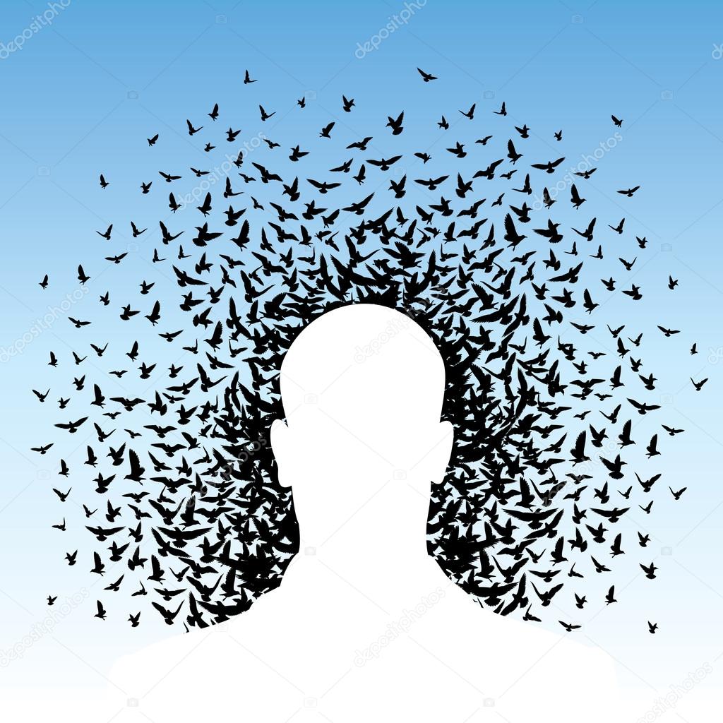 Flying birds to head Stock Vector Image by ©arrtfoto #94354692