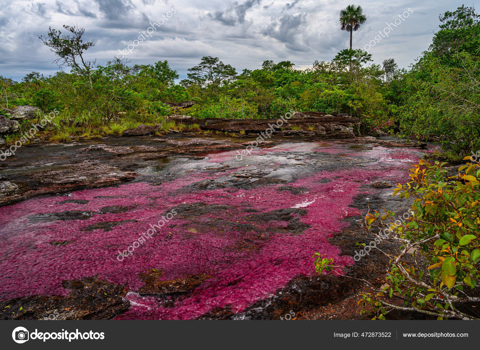 The River Of Five Colors