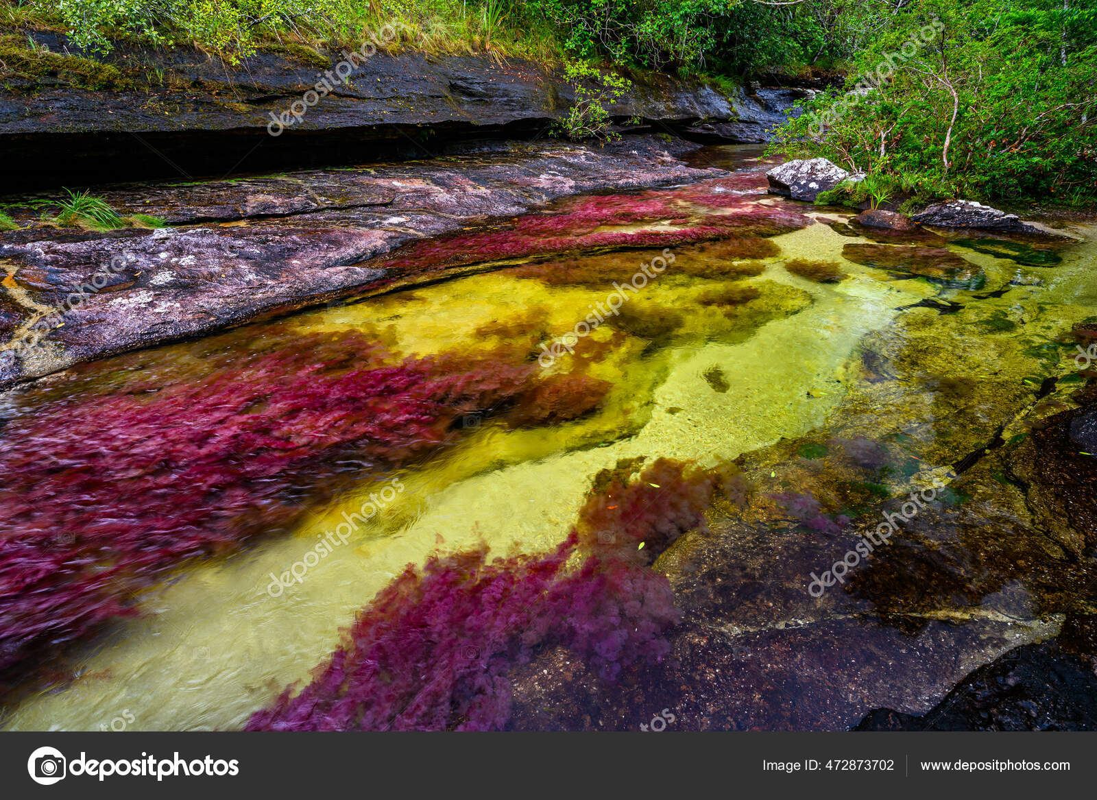 Rainbow River Five Colors River Colombia One Most Beautiful Nature ...