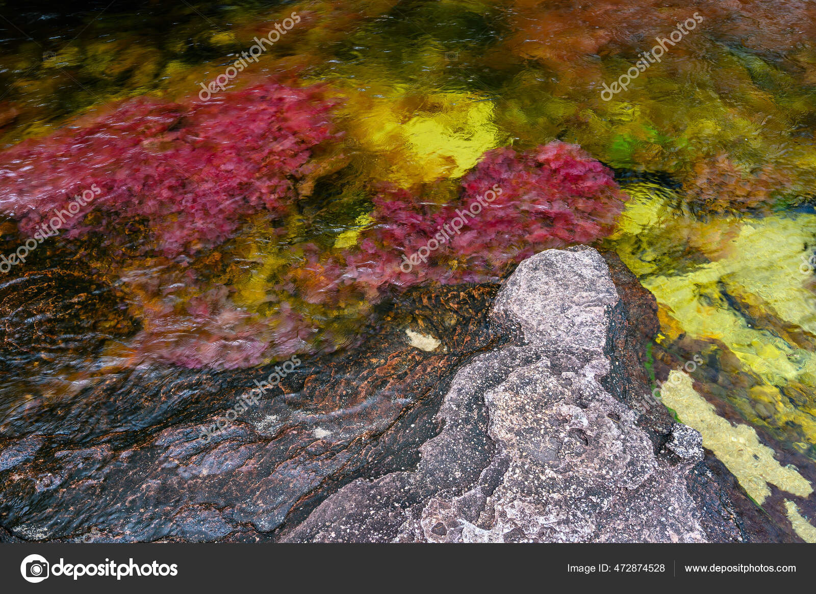 Rainbow River Five Colors River Colombia One Most Beautiful Nature ...