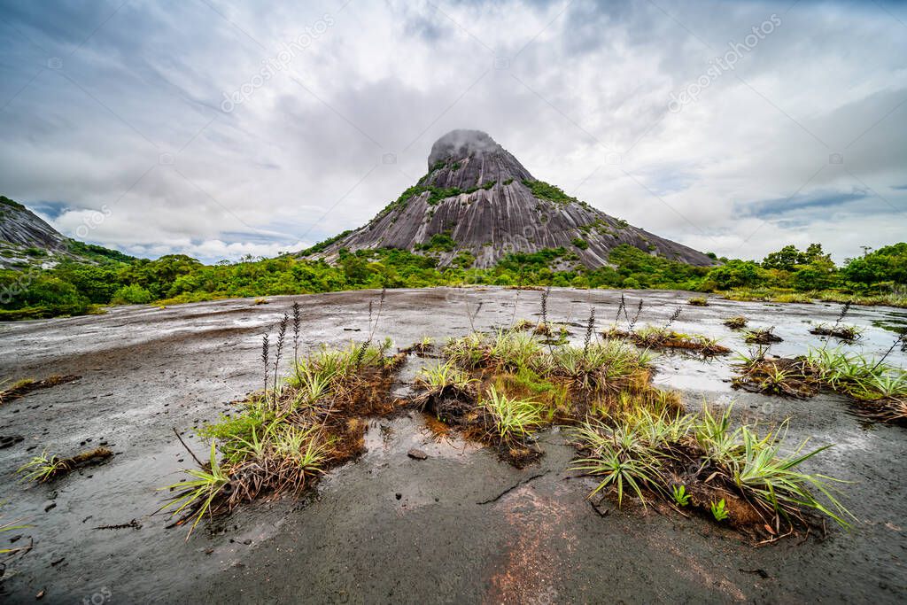 Guaina, Colombia. La montaña grande y asombrosa de Mavicure, Pajarito 2022