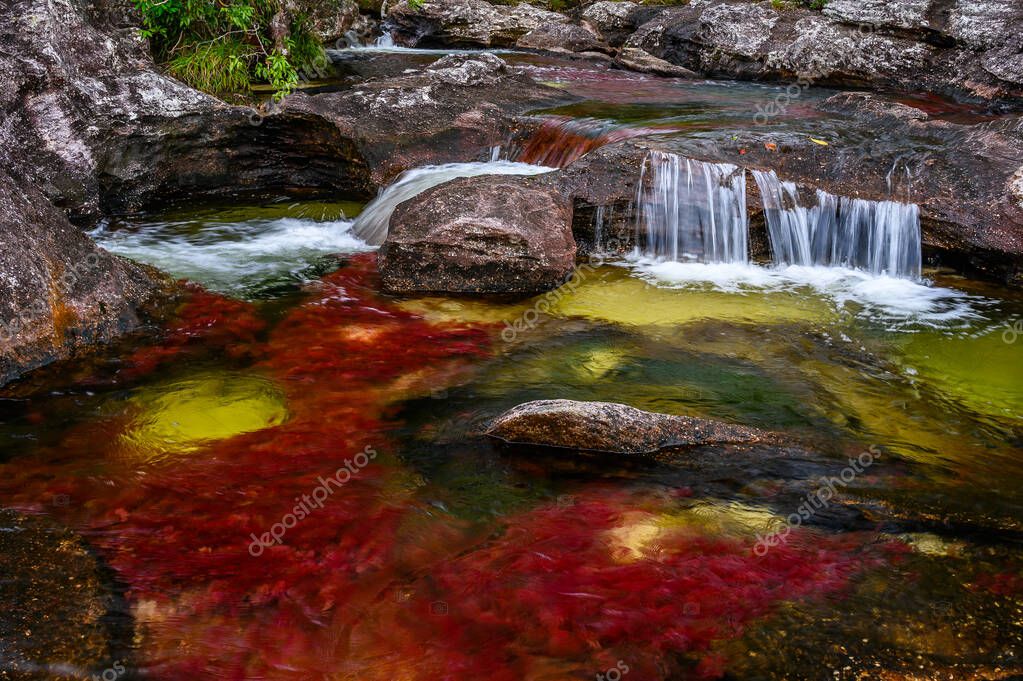 El río arco iris o río de cinco colores es en Colombia uno de los ...