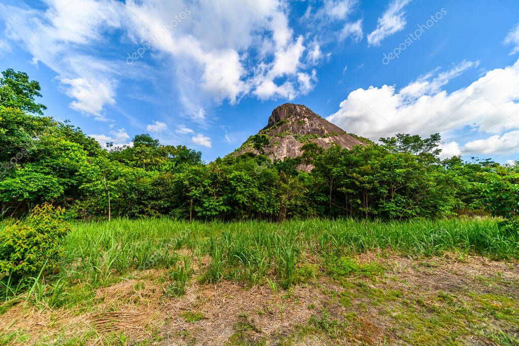 Guaina, Colombia. La montaña grande y asombrosa de Mavicure, Pajarito 2022
