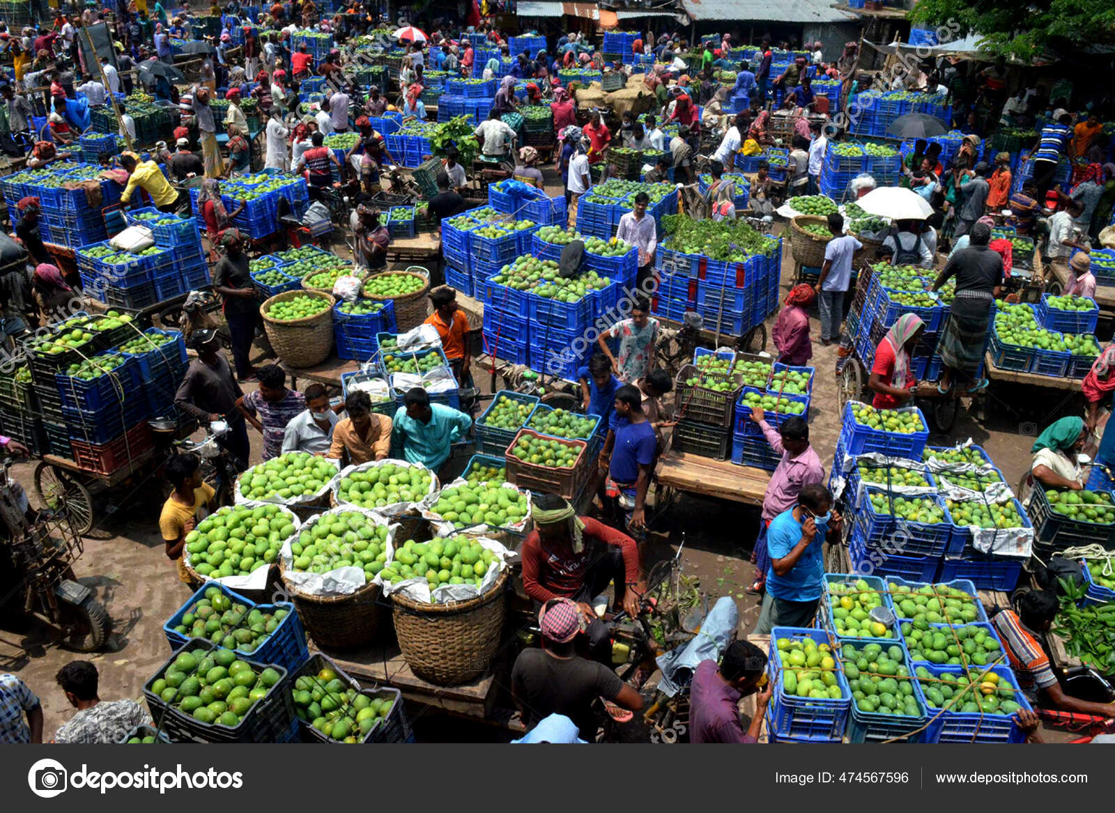 People Sells Mango Local Market Mango Harvest Covid Coronavirus ...