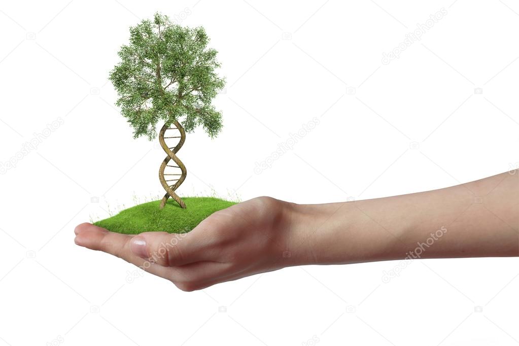 Árbol en forma de ADN con troncos que forman la doble hélice 2021