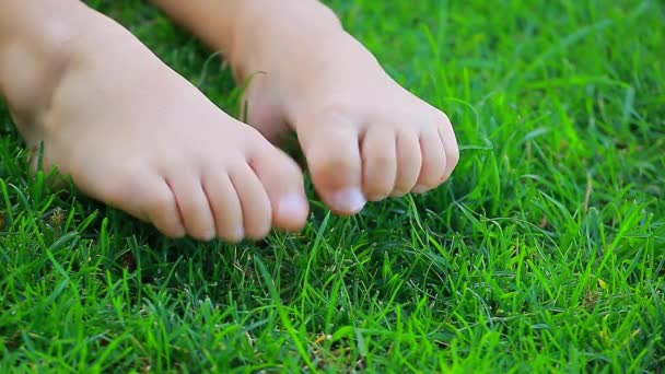 Footage Children Foot Grass Background — Stock Video © GORLOV #482438682