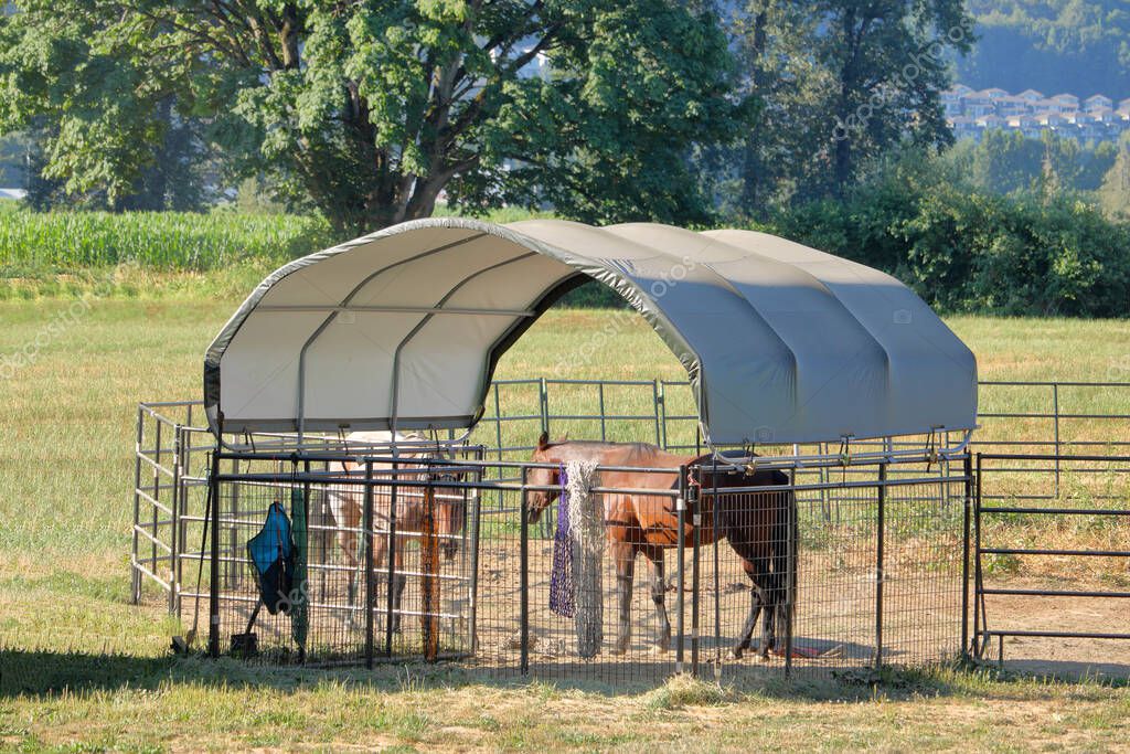 Un refugio para animales que es fácil de instalar, económico y ...