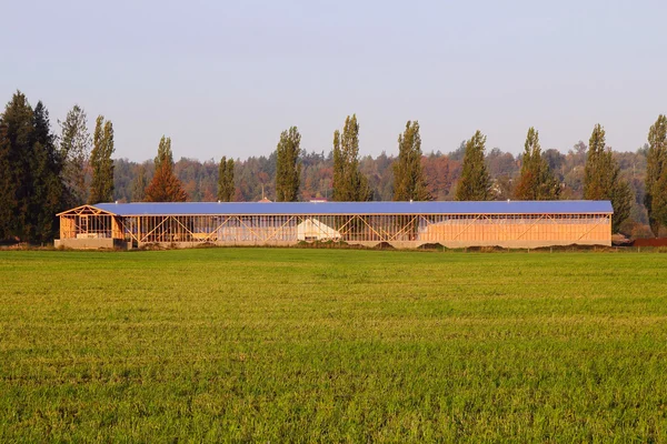 Barn construction Stock Photos, Royalty Free Barn construction Images ...