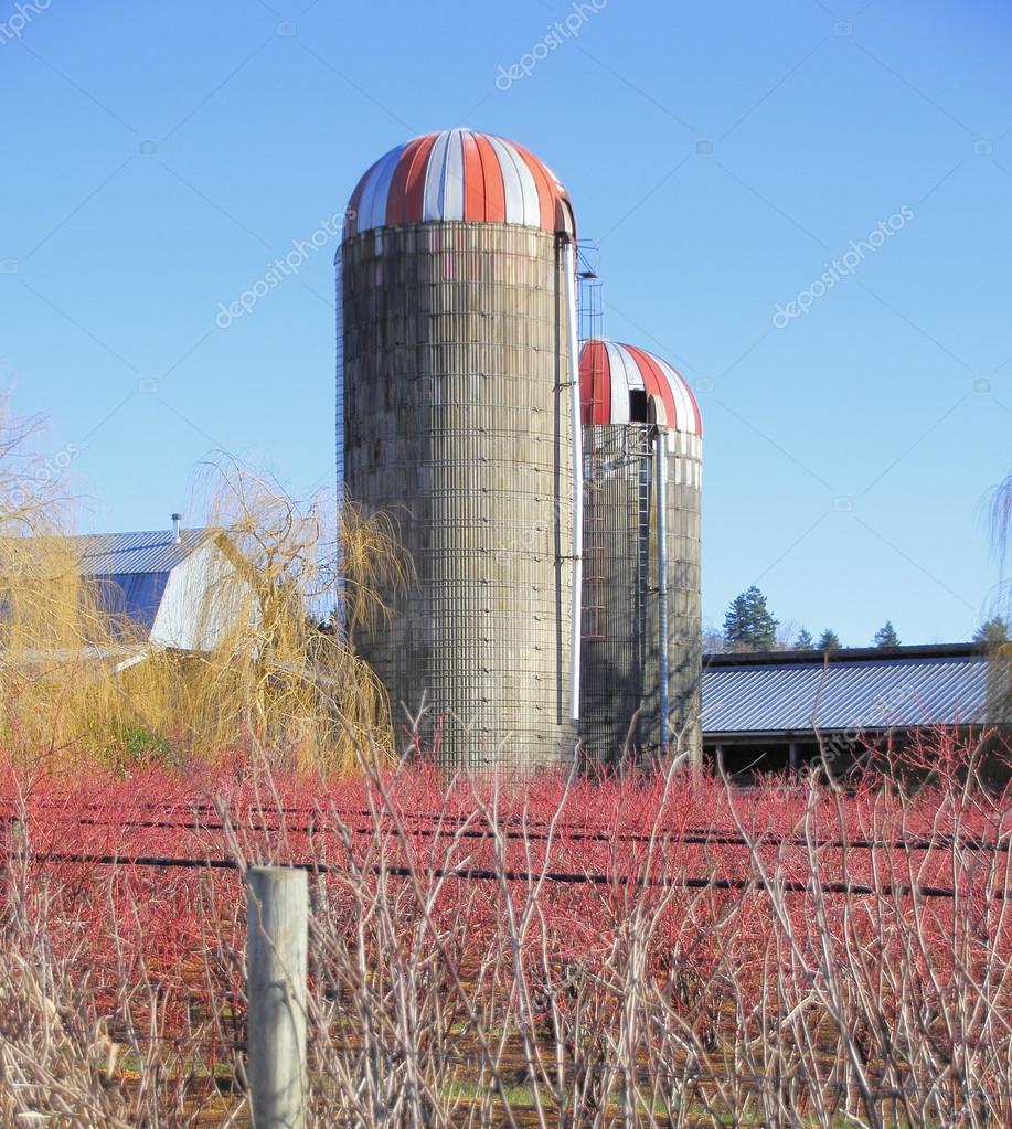 Two grain silos stand side by side. — Stock Photo © modfos #95229384