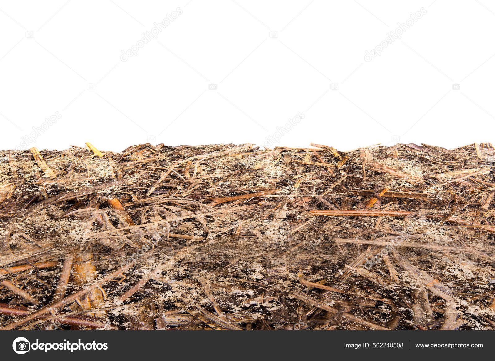 Close View Soil Ground Texture White Background — Stock Photo ...