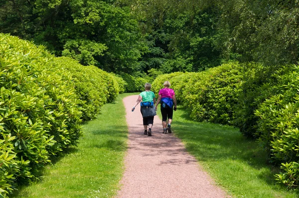 Mother and daughter walking in the forest holding hands — Stock Photo © evolutionnow #127138898