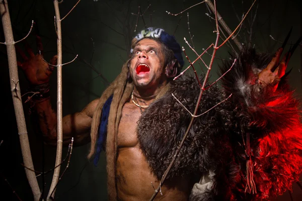 Muscular man with dreadlocks werewolf on a colorful background w Stock ...