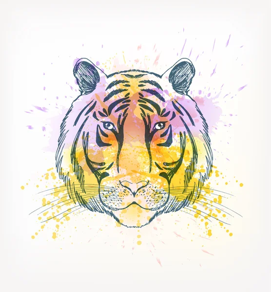Watercolor raster tiger Stock Vector Image by ©ZeninaAsya #97923408