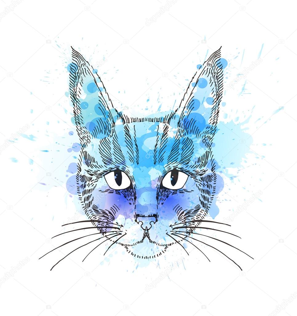 Hand Drawn cat Stock Illustration by ©lyudo #94931058